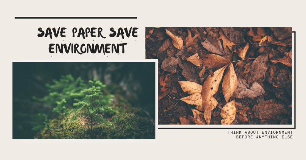 Save Paper, Save Environment – Is it Right Perception? - RGWords