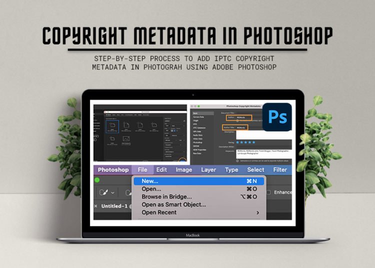 How to Add IPTC Copyright Metadata in Lightroom - RGWords