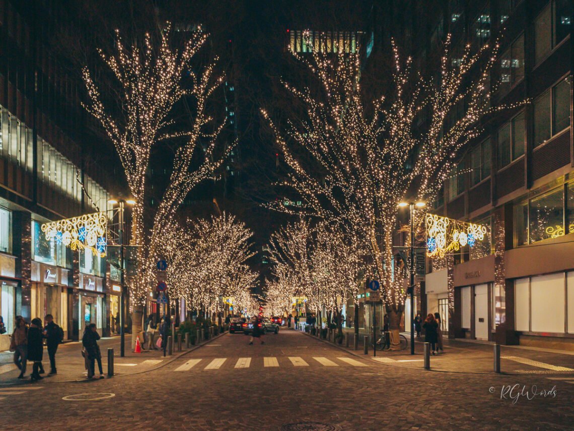 10 Best Winter Illuminations To See in Tokyo, Japan - RGWords