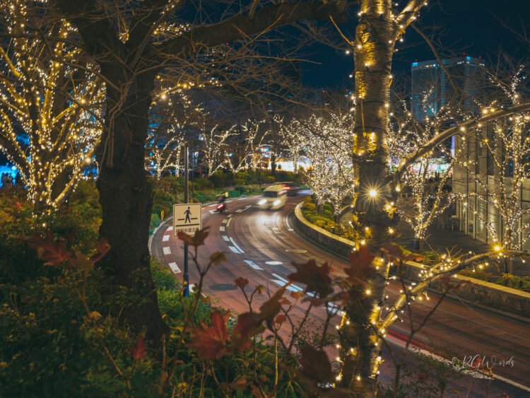 10 Best Winter Illuminations To See in Tokyo, Japan - RGWords