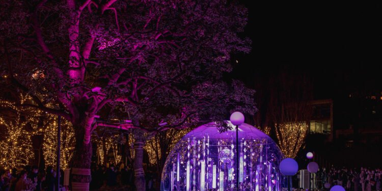 10 Best Winter Illuminations To See in Tokyo, Japan - RGWords