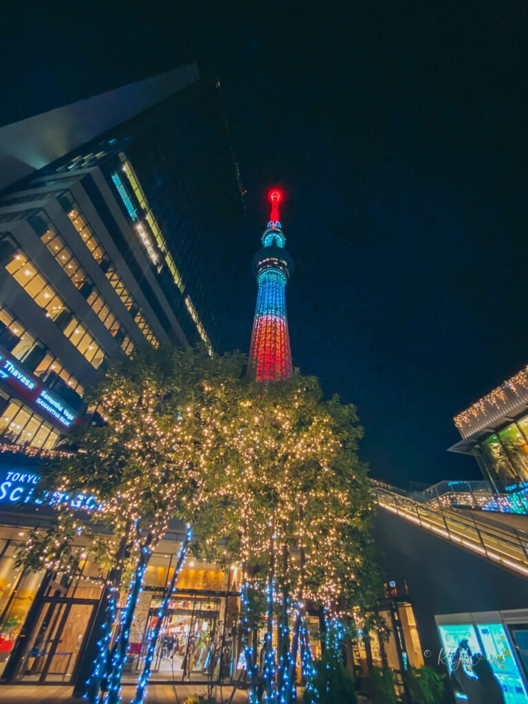 10 Best Winter Illuminations To See in Tokyo, Japan - RGWords