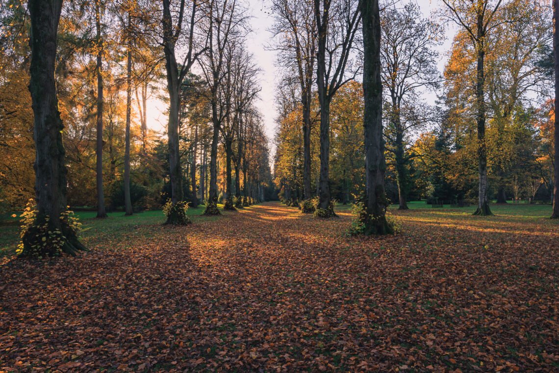 Mastering Composition in Landscape Photography: Rule of Thirds, Leading ...