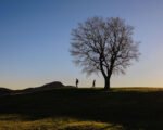Mastering Composition in Landscape Photography: Rule of Thirds, Leading ...