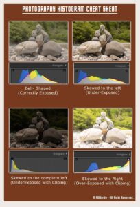 Understanding Histogram: Key to Perfect Exposure in Landscape ...