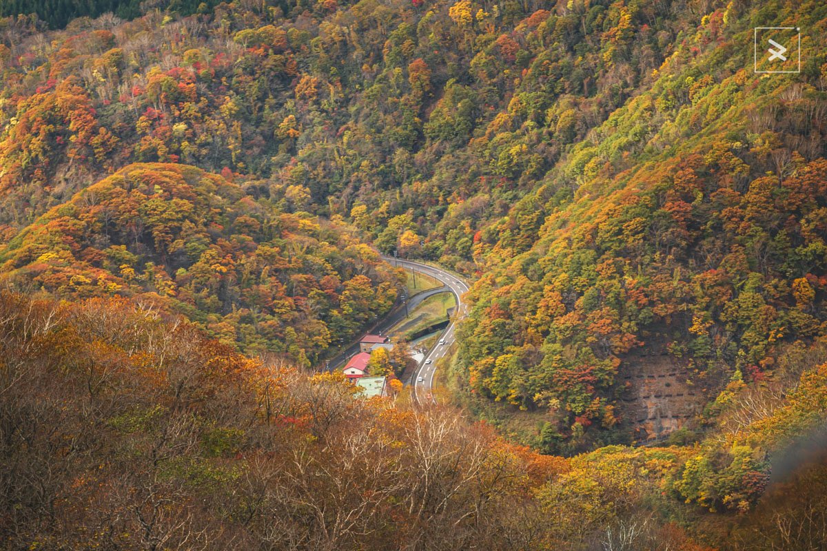 Sapporo's Fall Wonderland: A Photographer's Paradise - RGWords